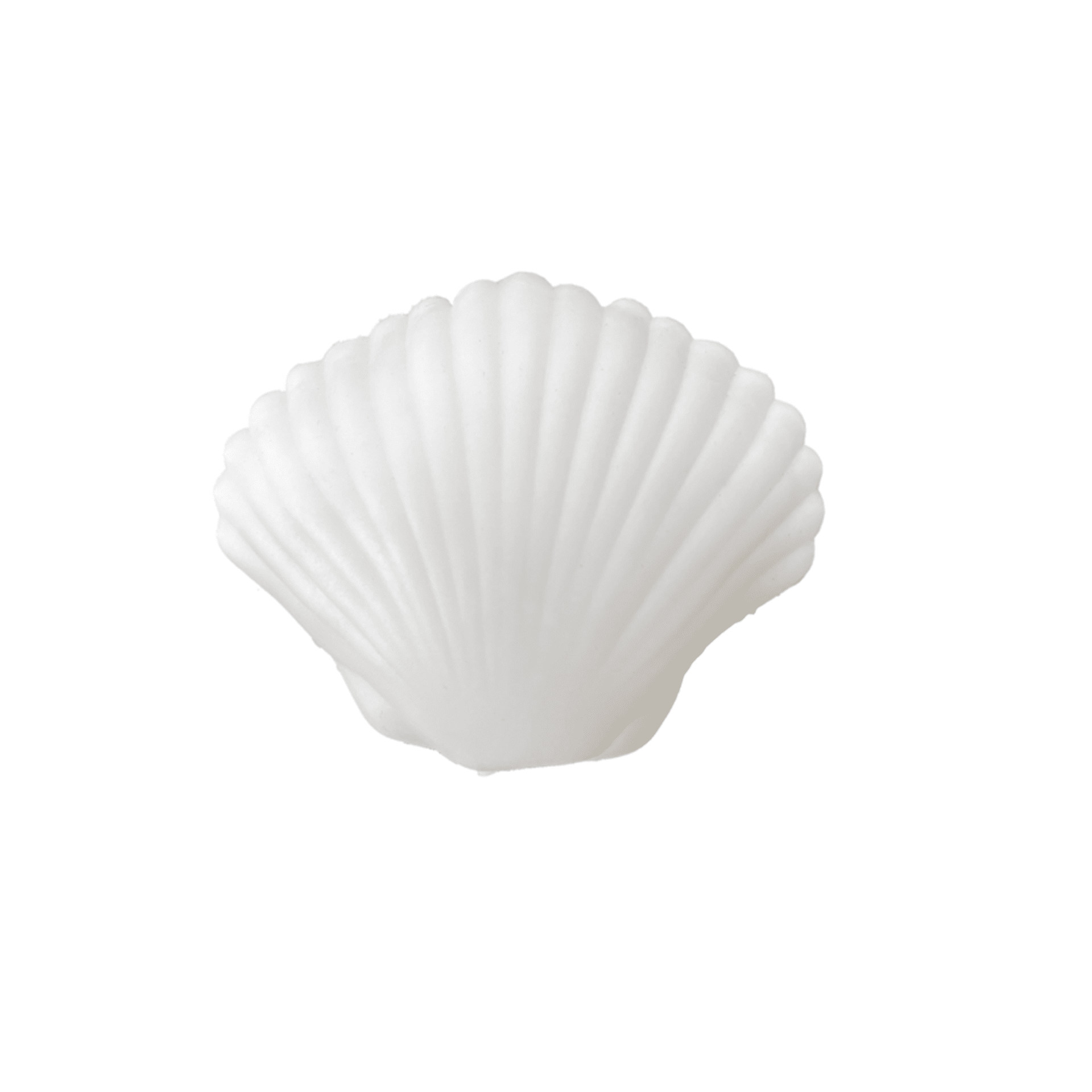 Seaside Clamshell Squeeze Squishy – Shop Sweet Lulu