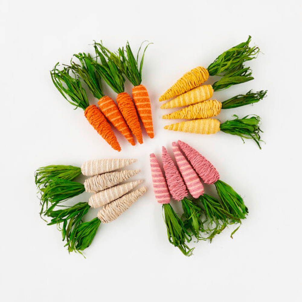 Real Carrot Color Carrot Growth Stages: How Fast Do Carrots Grow?
