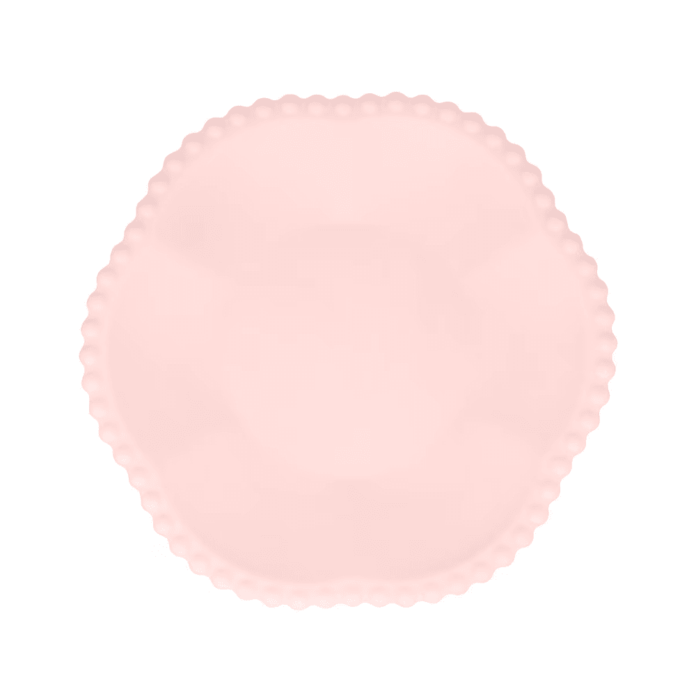 Meri Meri Pink Dot Edged Flower Compostable Side Plates – Shop Sweet Lulu